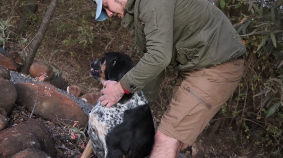 M.T.G. Enforcer Flex Baggie Pants